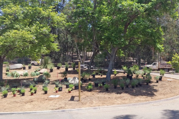 How to Grow a Water-Smart Landscape – San Diego Zoo Wildlife Alliance ...