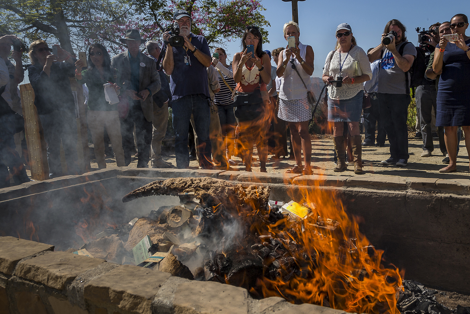 Ashes to Ashes: Our Rhino Horn Burn – San Diego Zoo Wildlife Alliance ...