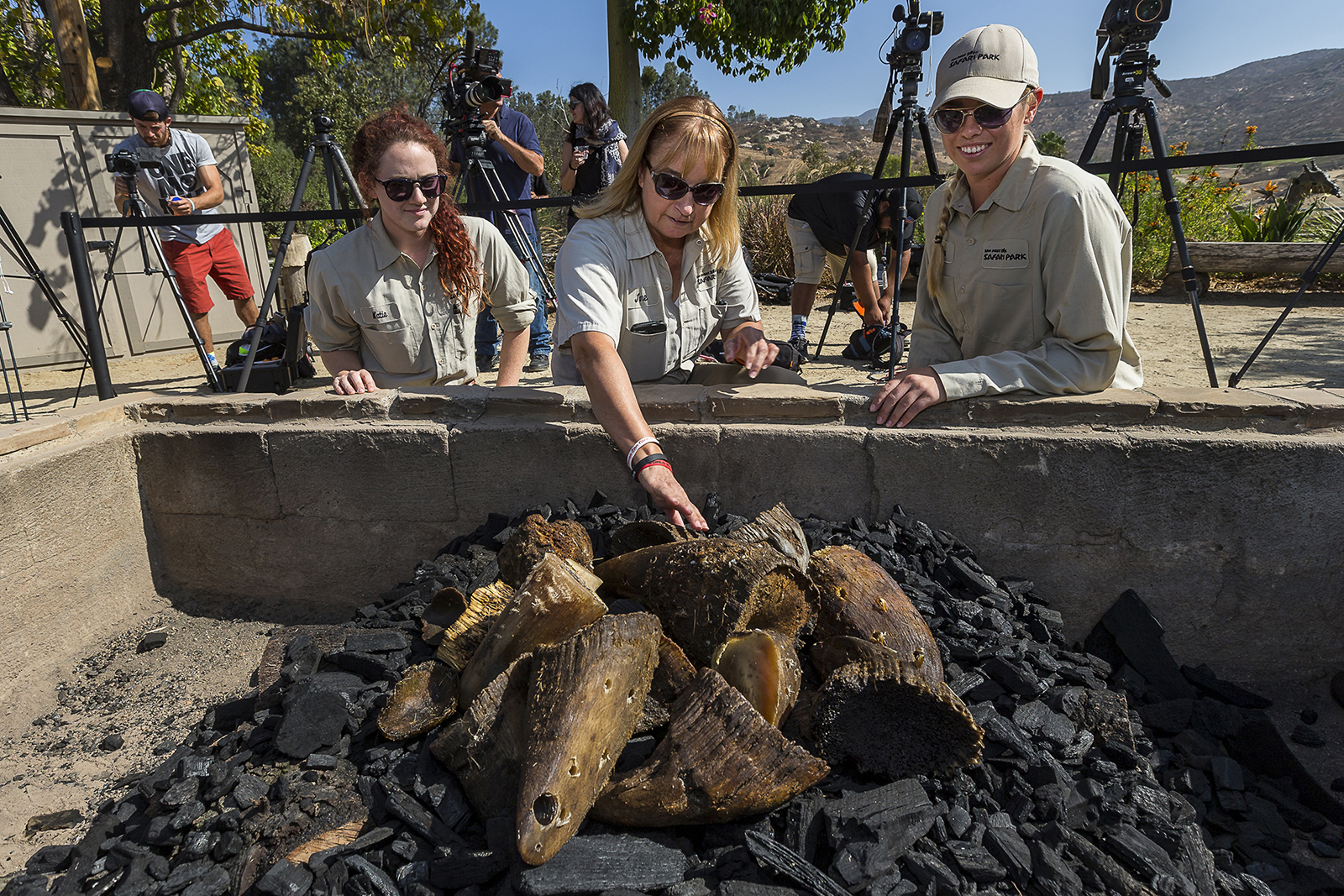 Ashes to Ashes: Our Rhino Horn Burn – San Diego Zoo Wildlife Alliance ...