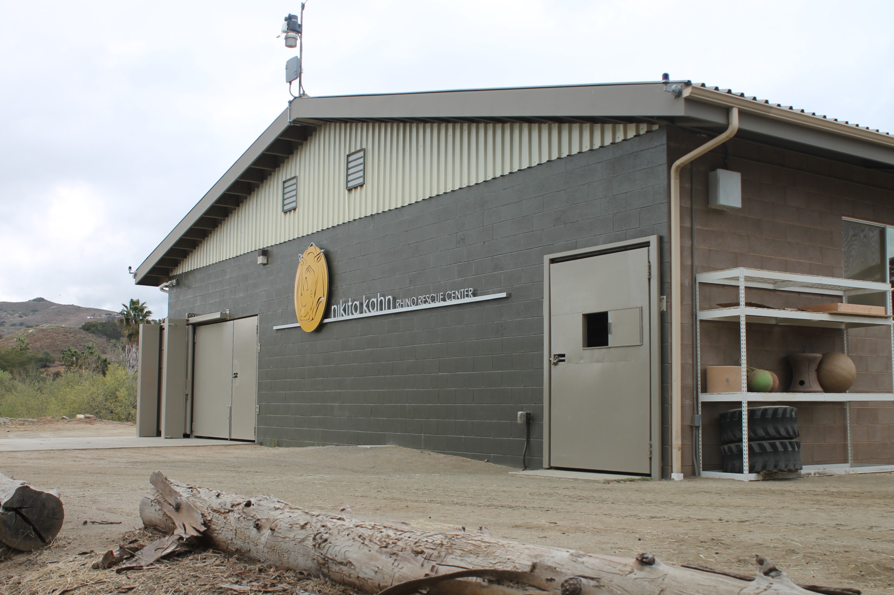 Rhinoceros Reproduction – San Diego Zoo Wildlife Alliance Stories