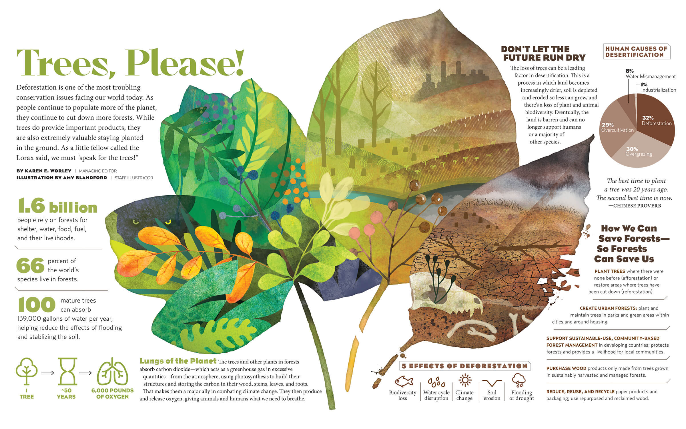 Trees, Please! – San Diego Zoo Wildlife Alliance Stories