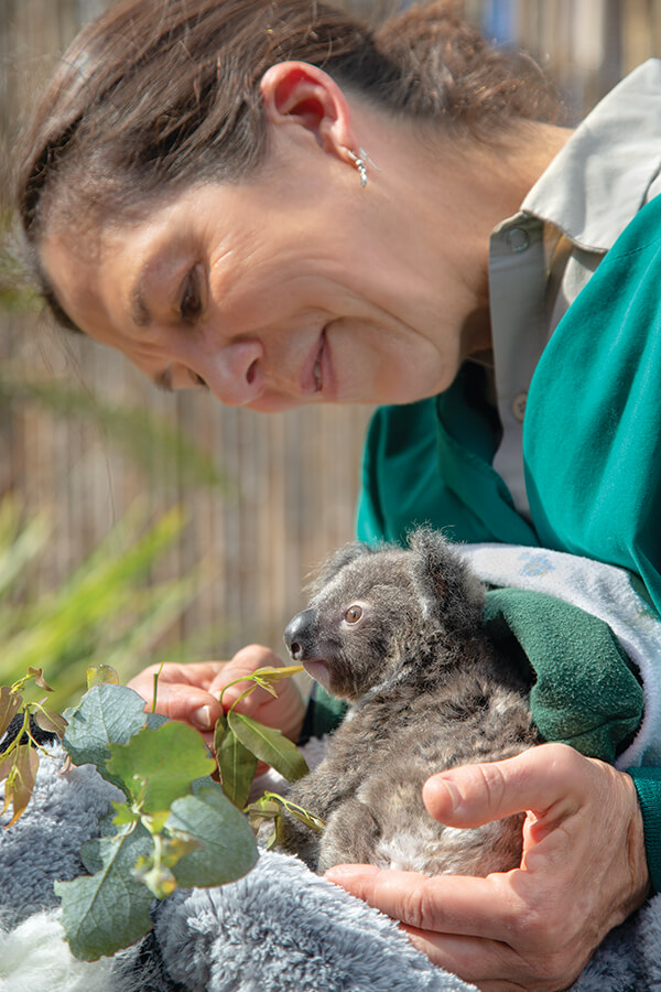 Small but Mighty – San Diego Zoo Wildlife Alliance Stories